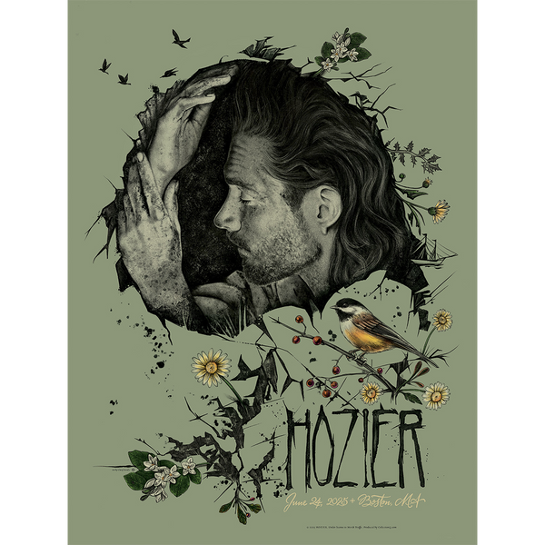 All Posters - Hozier
